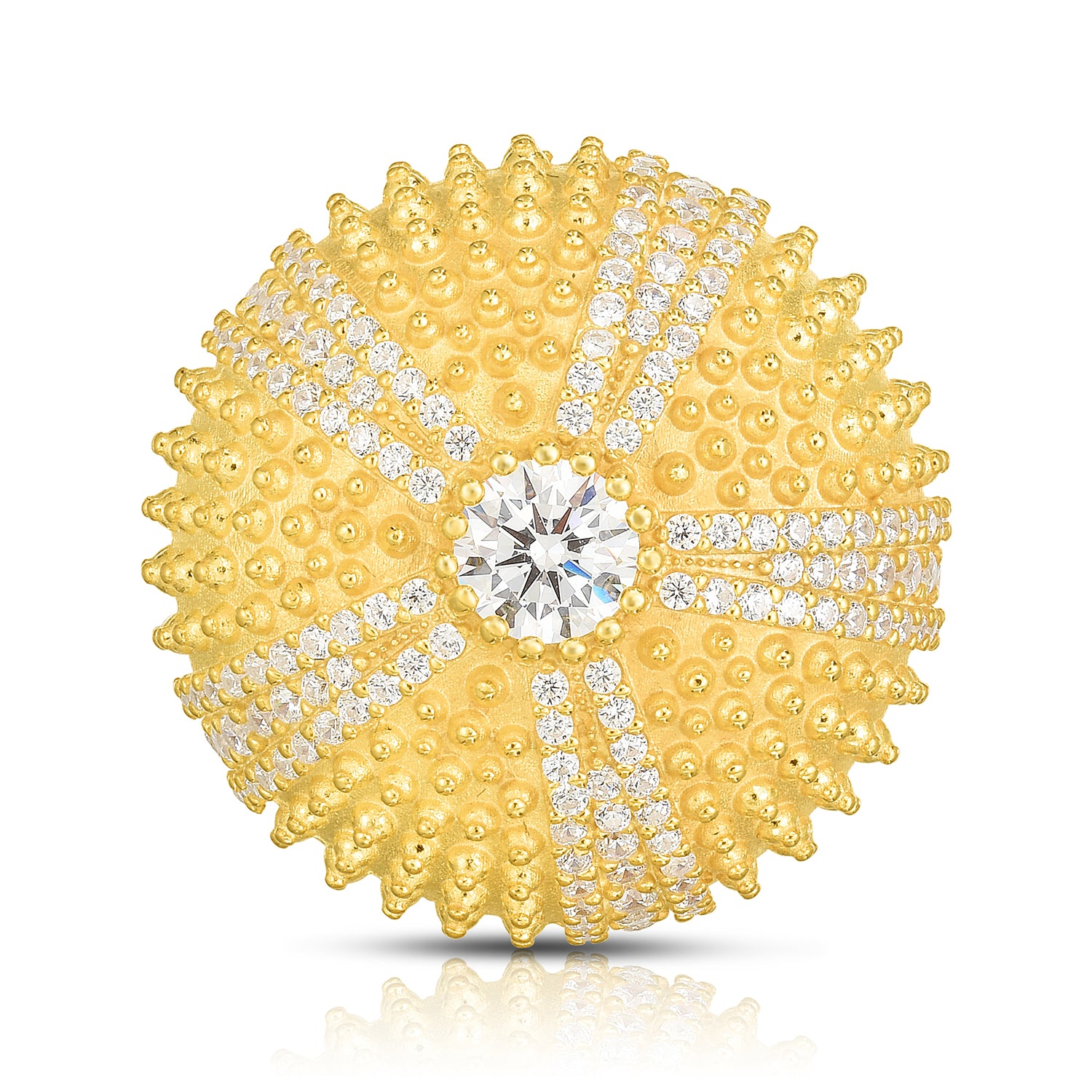 Sea Urchins – Pharaoun by Sergio Andrés